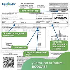 ¿Cómo Descargar y Pagar tu Factura de Ecogás? - Appzinplay
